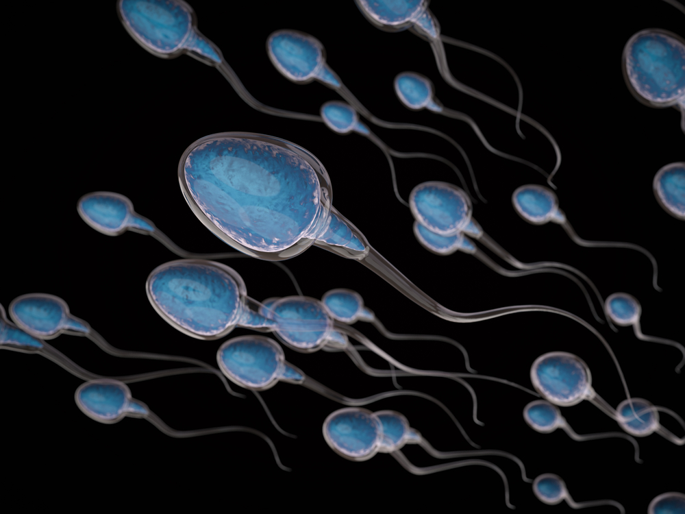 A complete commitment to successful vasectomy reversals – Vasectomy ...